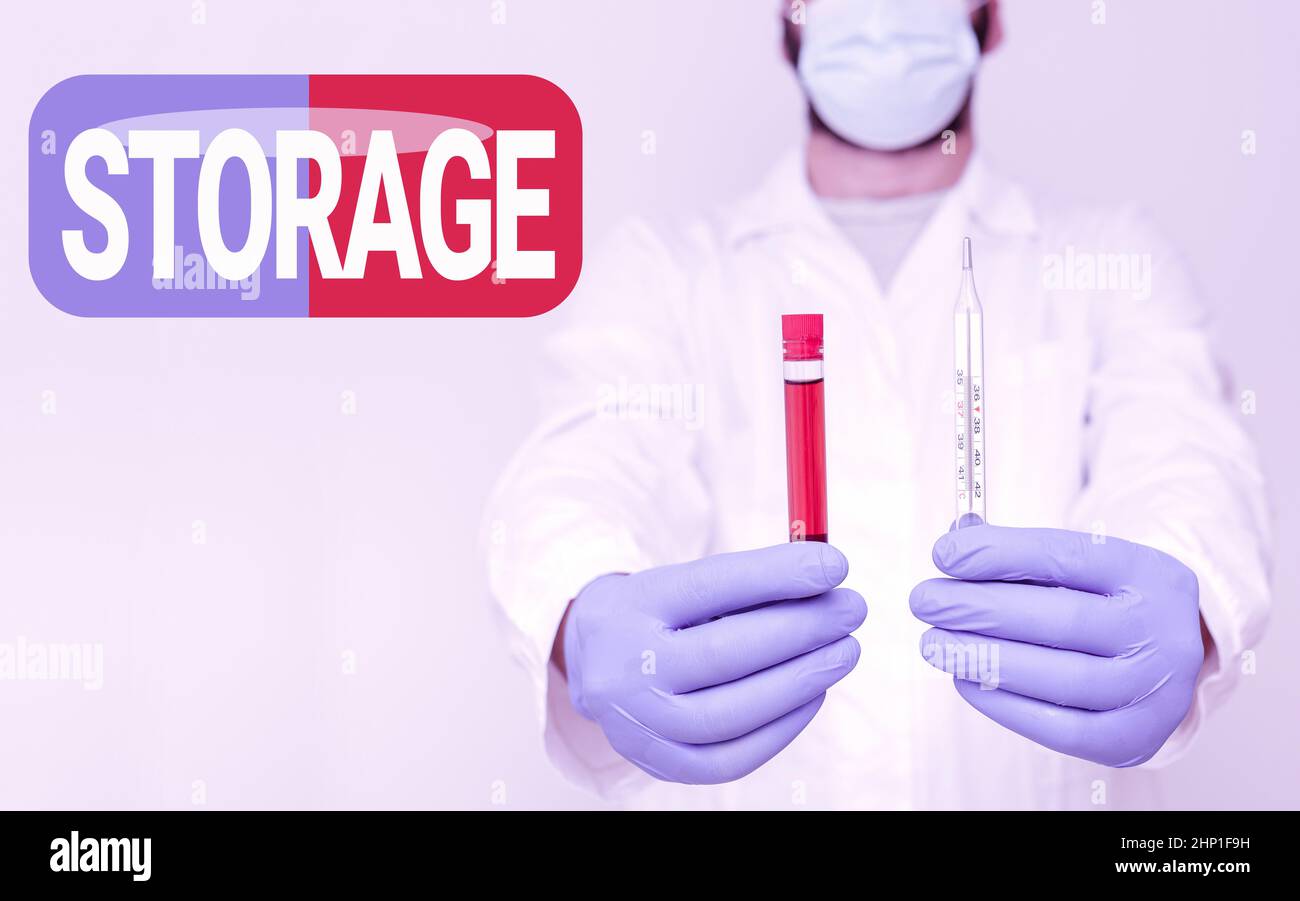 Conceptual caption Storage, Business overview Action of storage ...