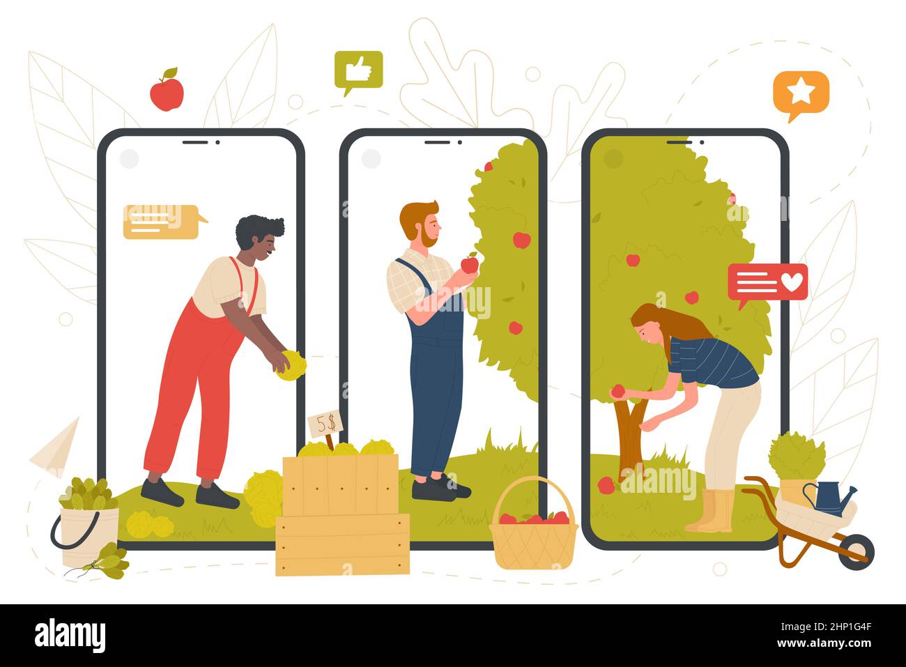 Farmers pick red apple harvest in farm garden on screens of mobile ...