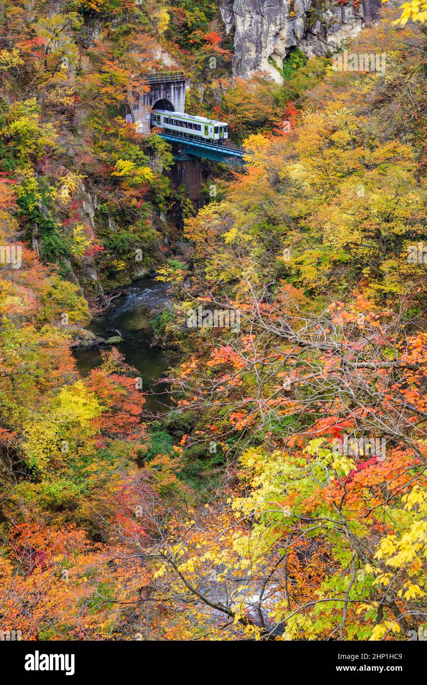 The Naruko Gorge valley with rail tunnel in Miyagi Tohoku Japan Stock ...