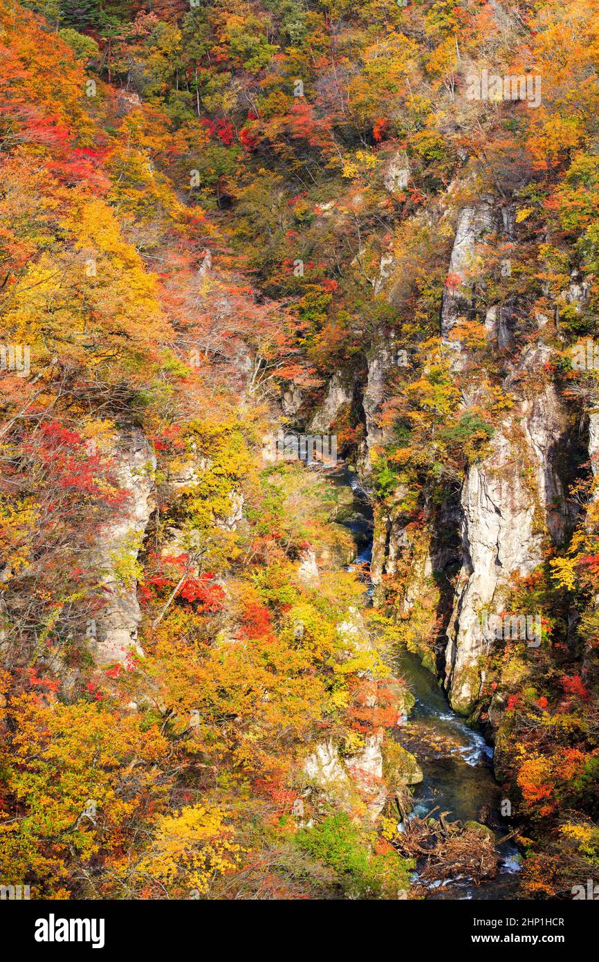 The Naruko Gorge valley with rail tunnel in Miyagi Tohoku Japan Stock ...