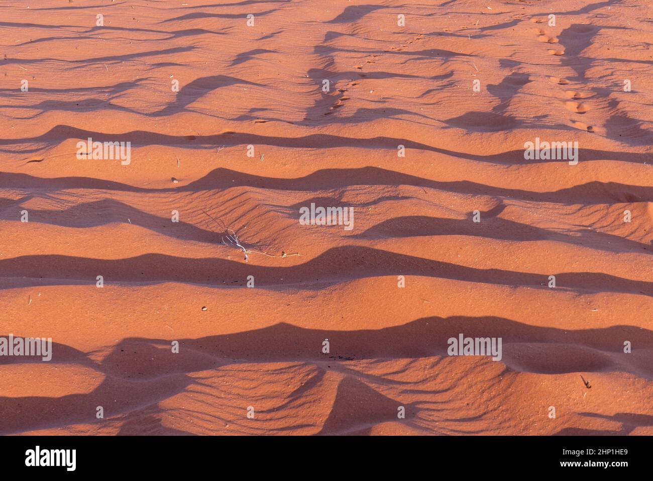 Kalahari sand hi-res stock photography and images - Alamy