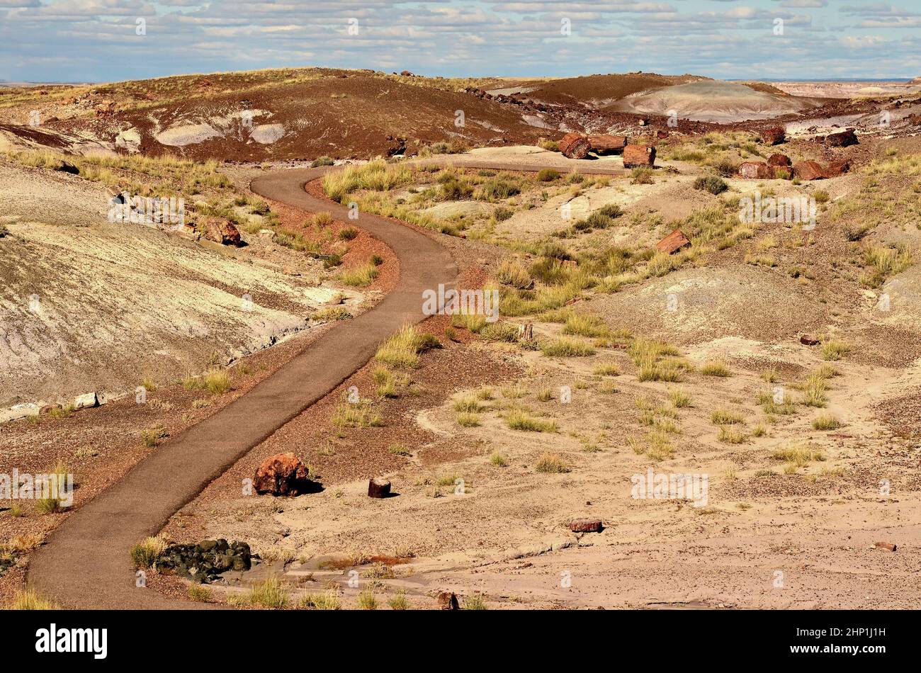 Pathway Through Scenic landscape of the ancient petrified forest in ...