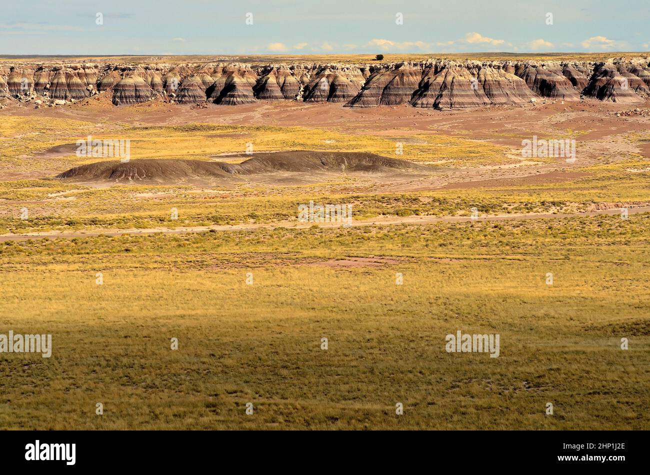 Scenic landscape of the ancient petrified forest in Arizona Stock Photo ...
