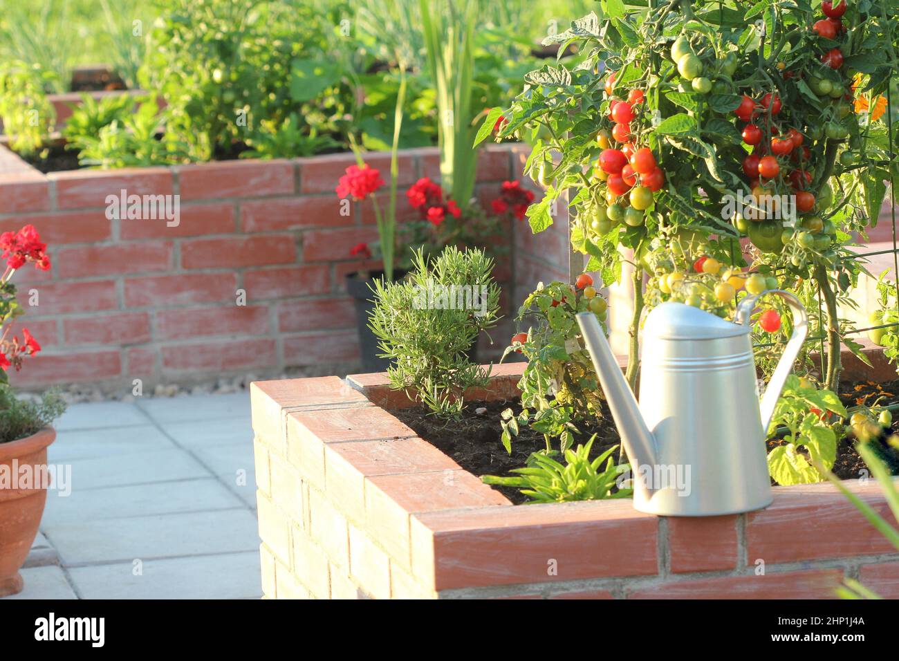 A modern vegetable garden with raised briks beds . .Raised beds ...
