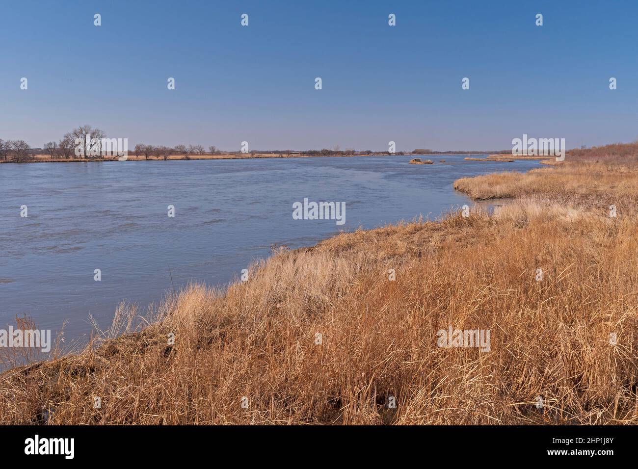 Flora of the great plains hi-res stock photography and images - Alamy