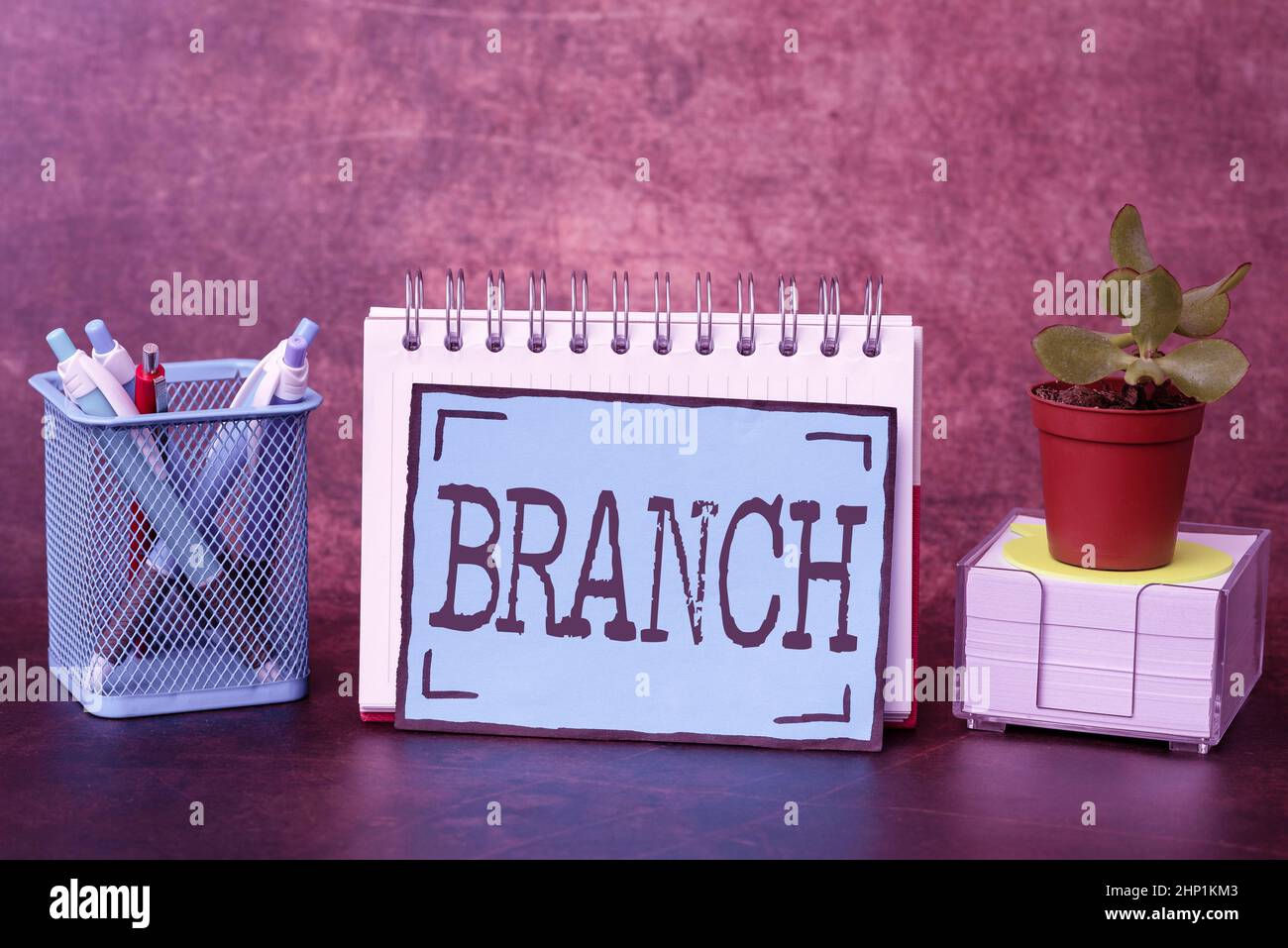 Hand writing sign Branch, Business showcase a part of a tree which ...