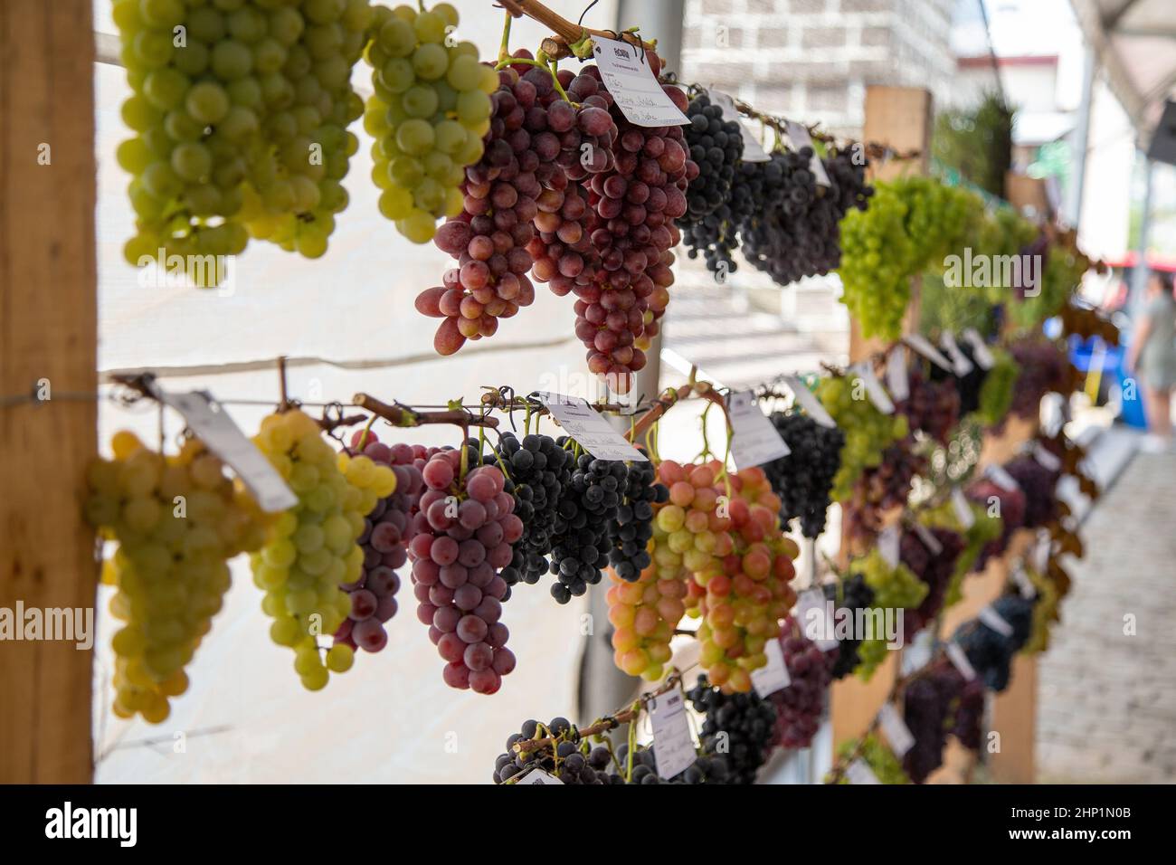 Fruit stand of the grapevine hi-res stock photography and images - Alamy