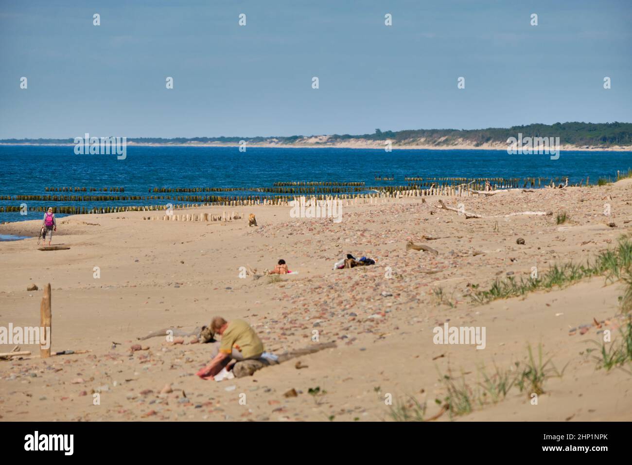 Sand dunes of the russian part Curonian Spit. Kaliningrad region ...