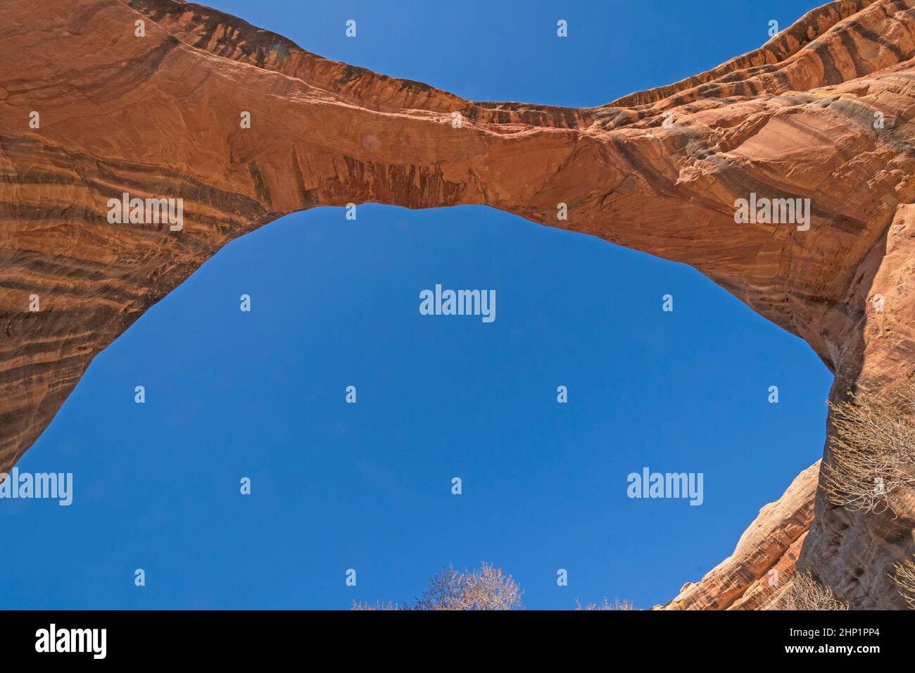 Looking Up at a Natural Bridge at Sipapu Bridge in Natural Bridges ...