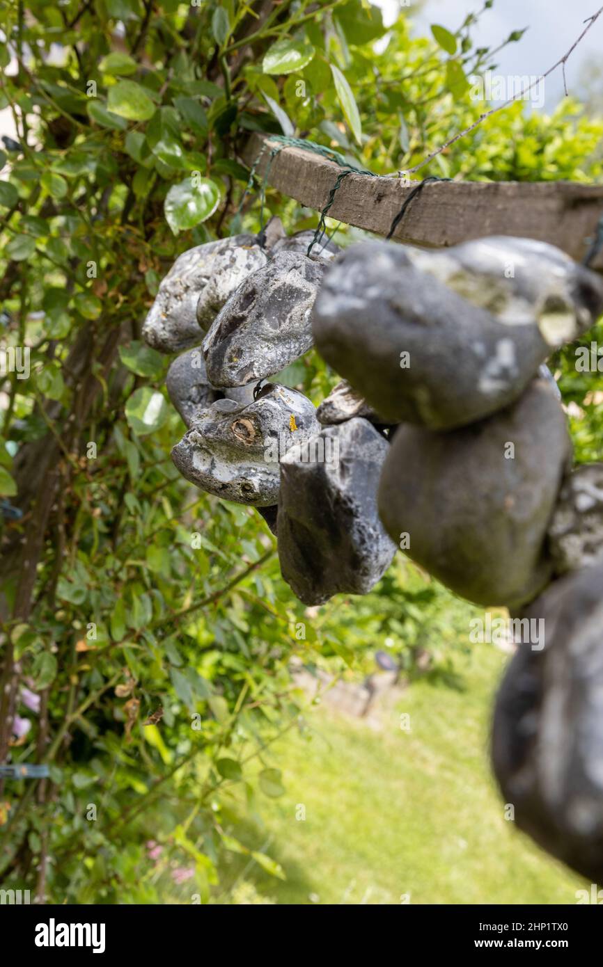 Stones or chicken gods hanging on a rope in the open air in summer ...