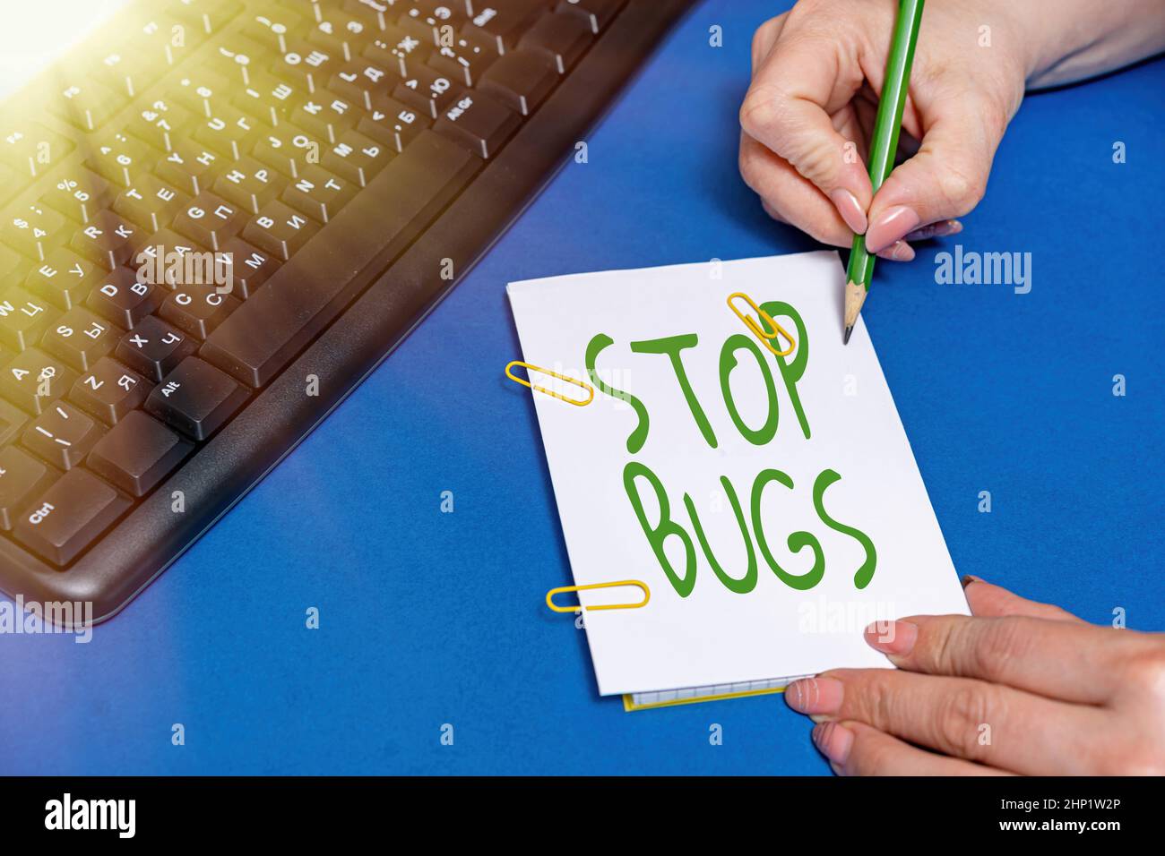 Writing displaying text Stop Bugs, Business approach Get rid an insect ...