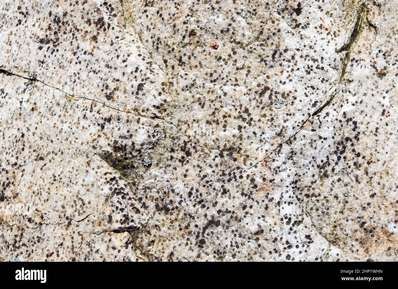 Granite stone texture in a detailed close up view in a high resolution ... Granite stone texture in a detailed close up view in a high resolution ...