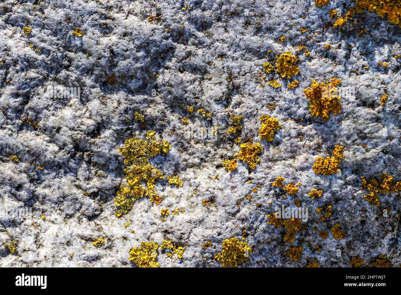 Granite stone texture in a detailed close up view in a high resolution ...