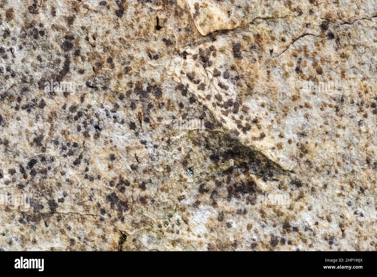 Granite stone texture in a detailed close up view in a high resolution ...