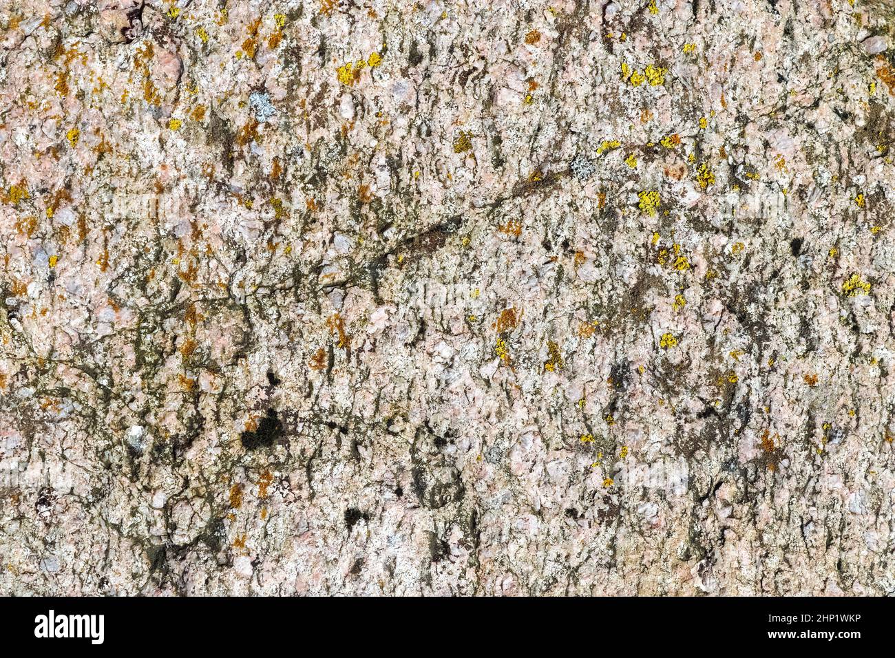Granite stone texture in a detailed close up view in a high resolution ...