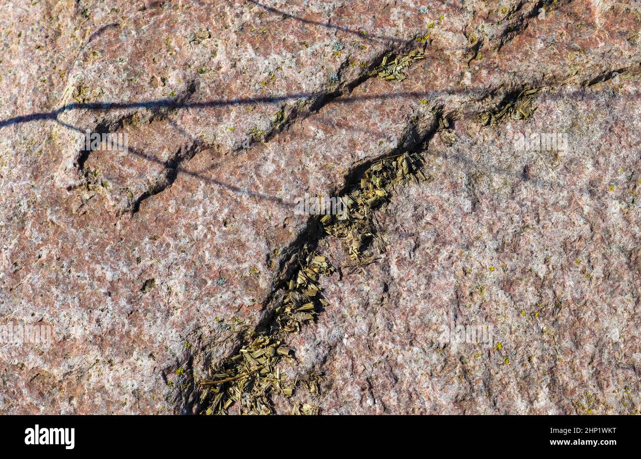 Granite stone texture in a detailed close up view in a high resolution ...