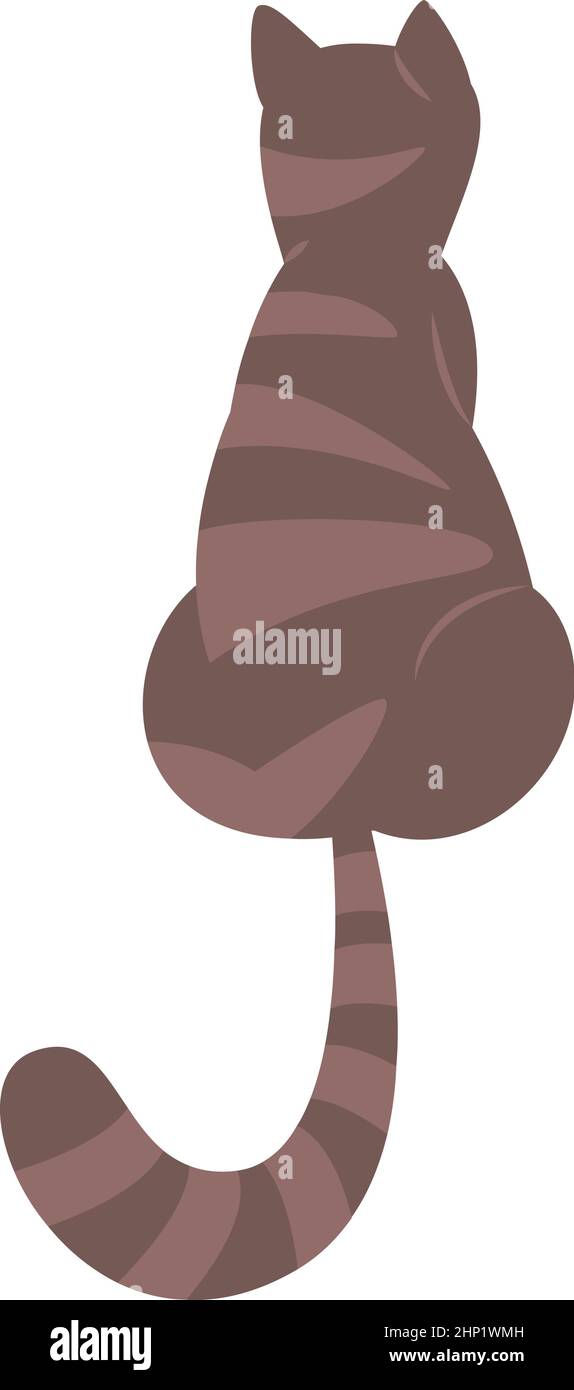 Grey stripe cat back view. Sitting pet with furry tail isolated on ...