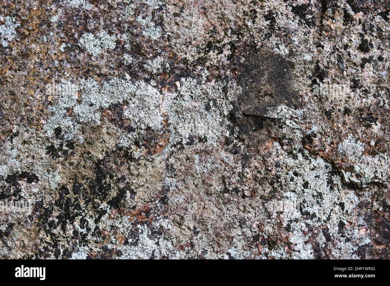 Granite stone texture in a detailed close up view in a high resolution ...