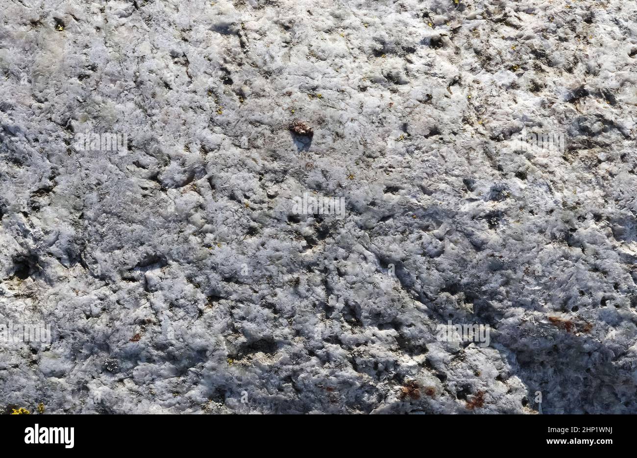 Granite stone texture in a detailed close up view in a high resolution ...