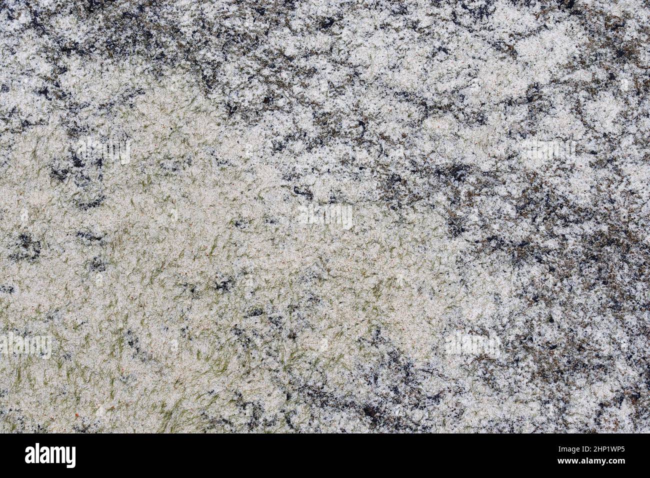 Granite stone texture in a detailed close up view in a high resolution ...