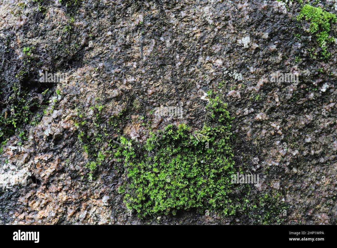 Granite stone texture in a detailed close up view in a high resolution ... Granite stone texture in a detailed close up view in a high resolution ...