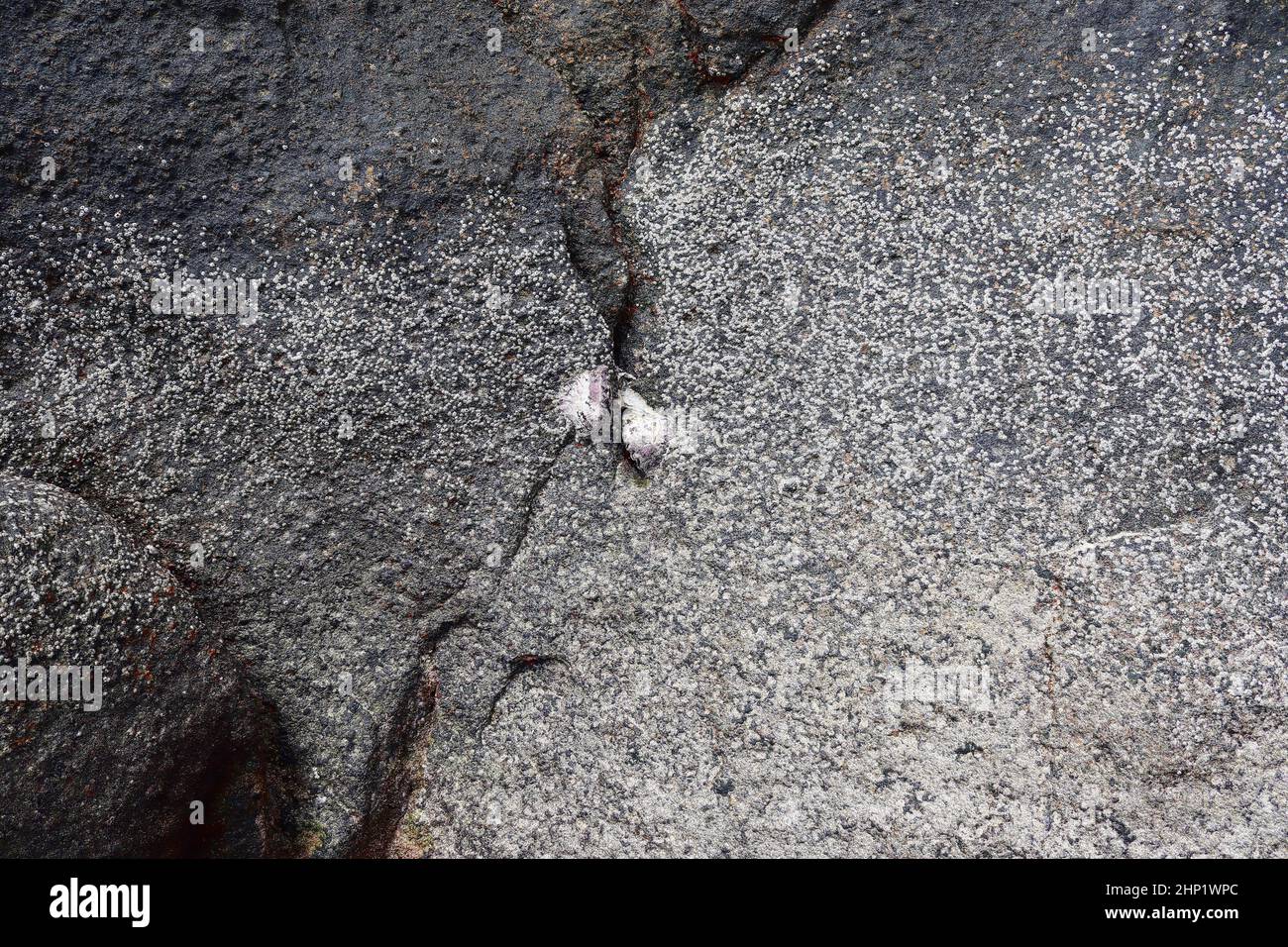Granite stone texture in a detailed close up view in a high resolution ...