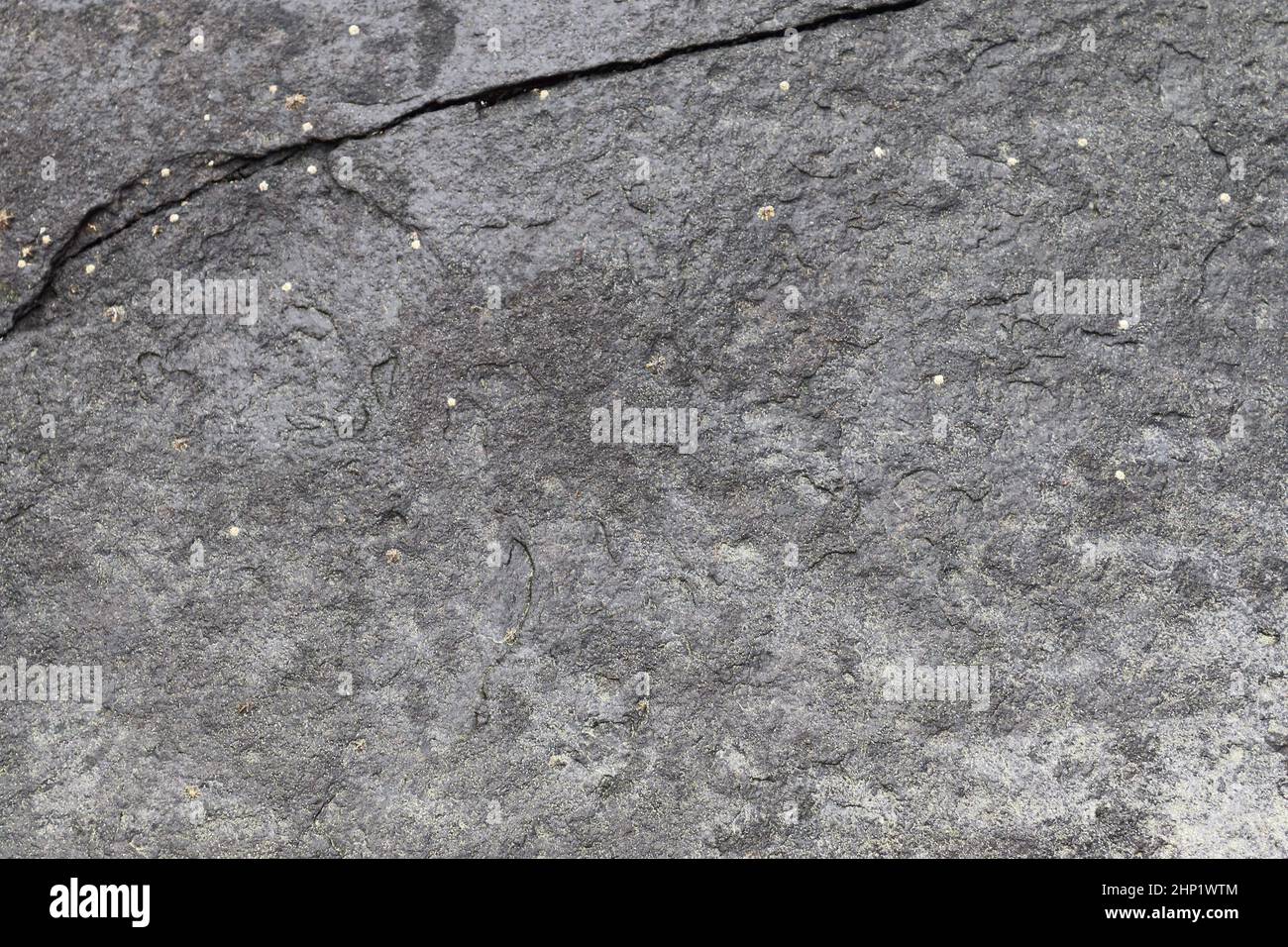 Granite stone texture in a detailed close up view in a high resolution ...