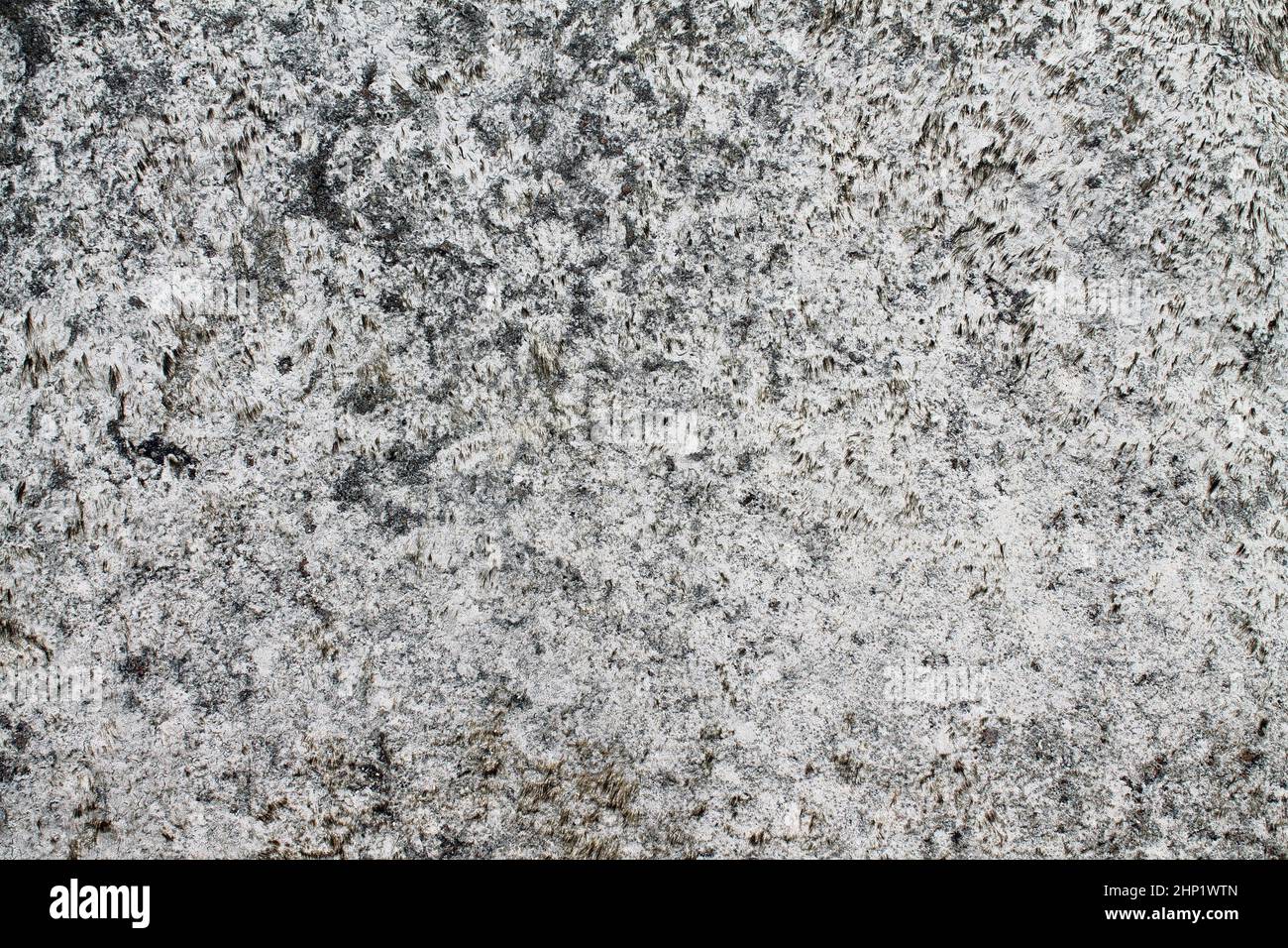 Granite stone texture in a detailed close up view in a high resolution Stock Photo - Alamy