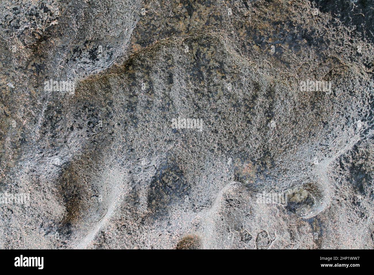 Granite stone texture in a detailed close up view in a high resolution ...