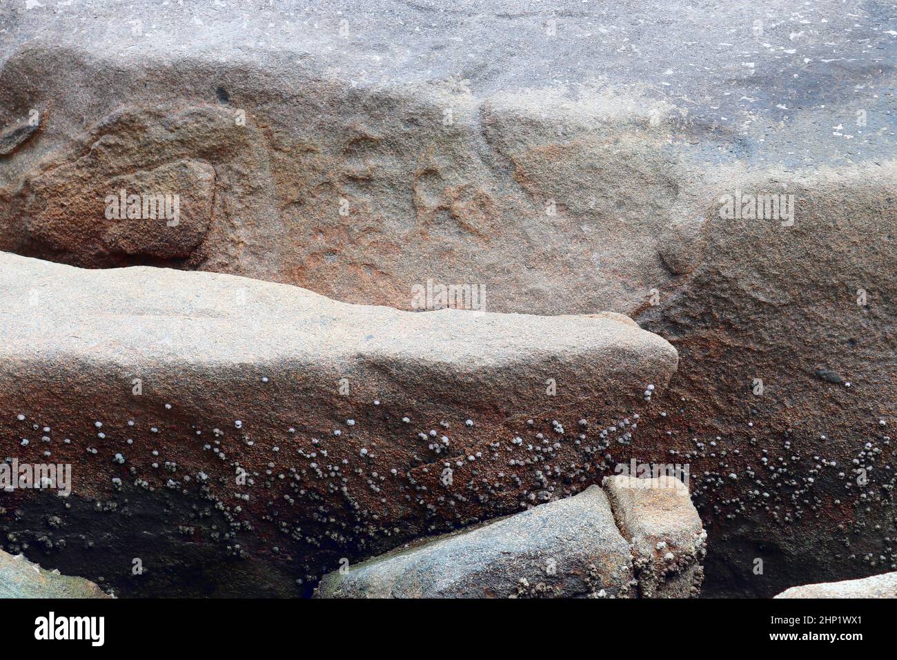 Granite stone texture in a detailed close up view in a high resolution ...