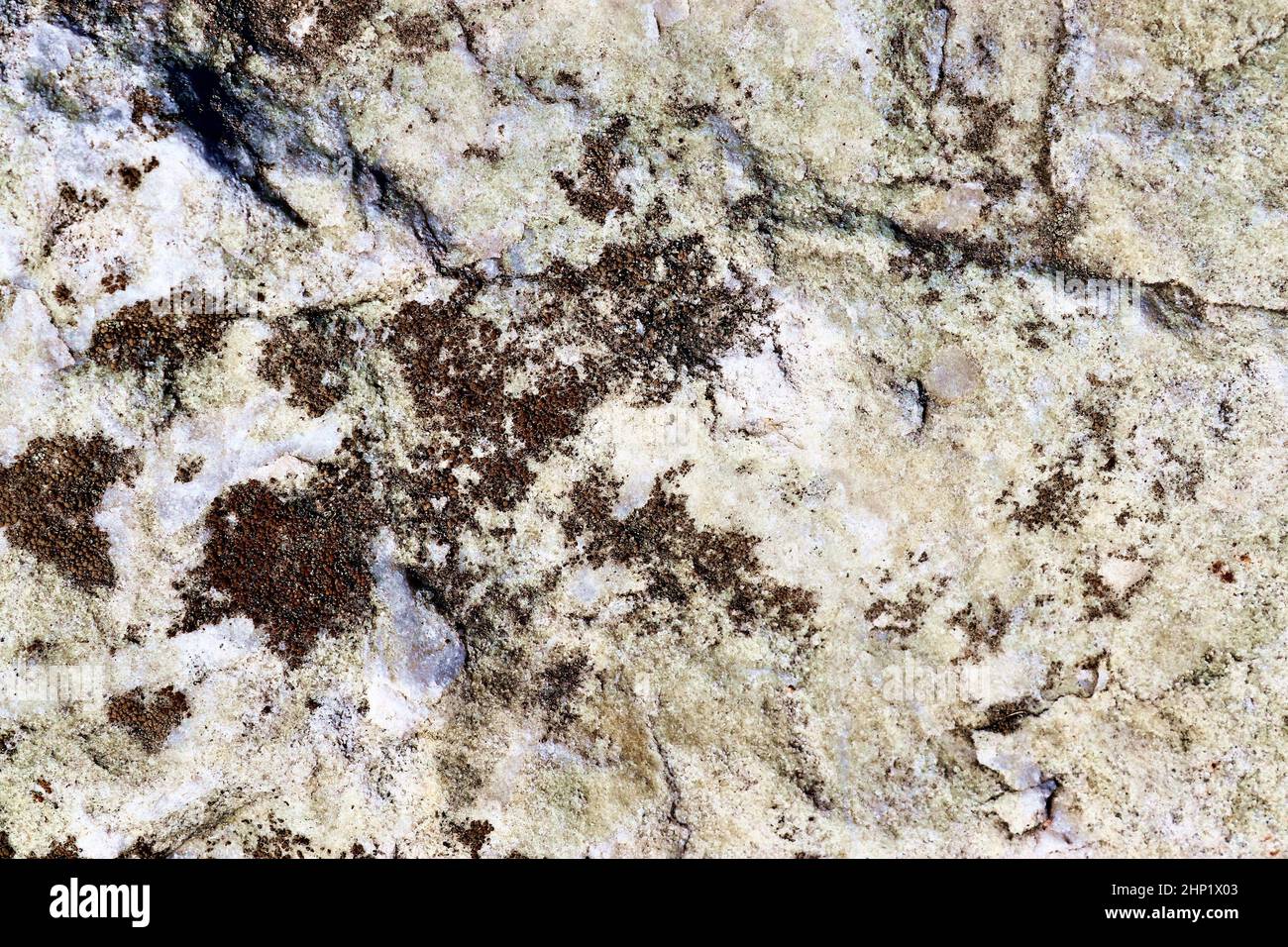 Granite stone texture in a detailed close up view in a high resolution ...