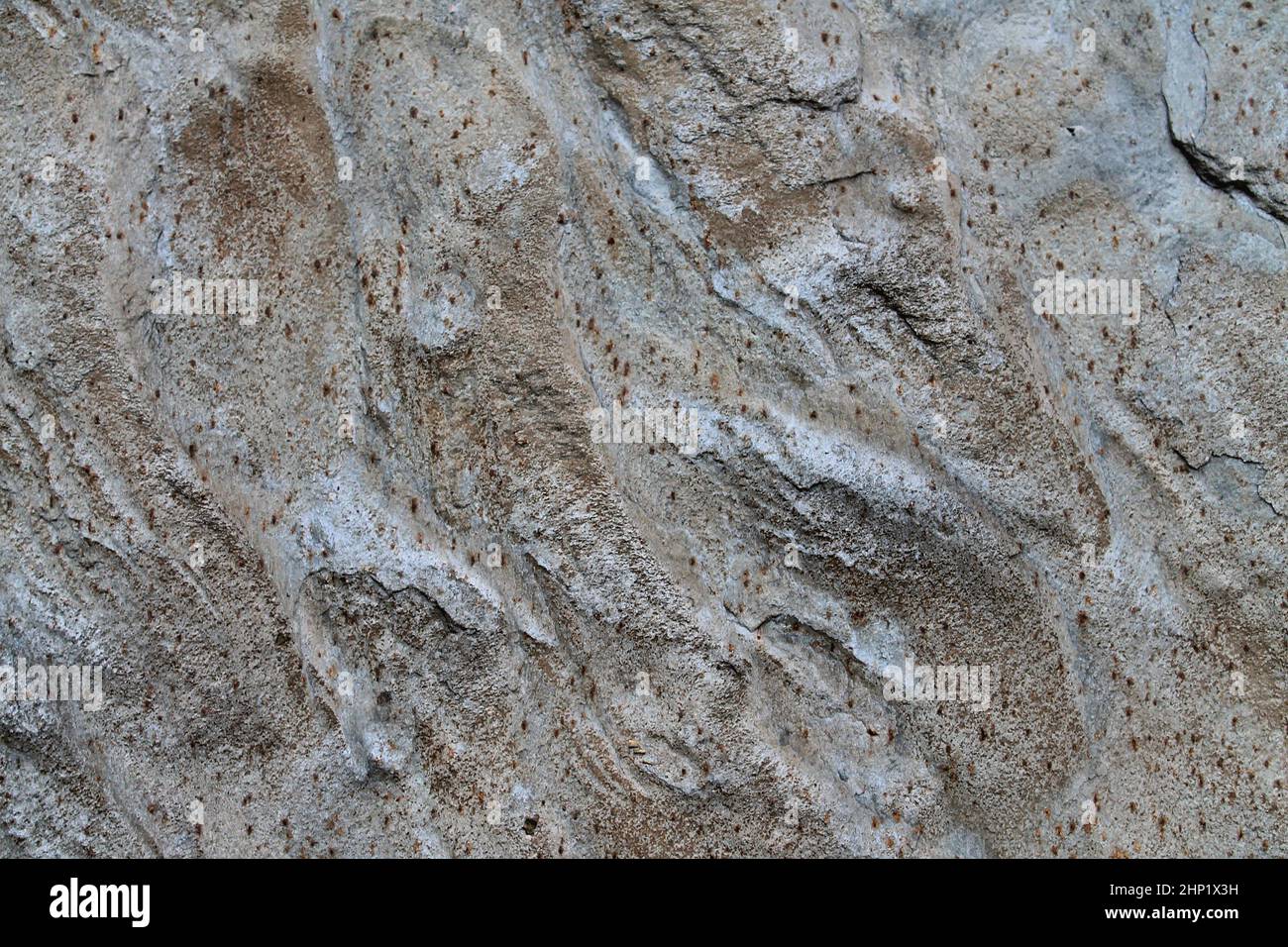 Granite stone texture in a detailed close up view in a high resolution Stock Photo - Alamy