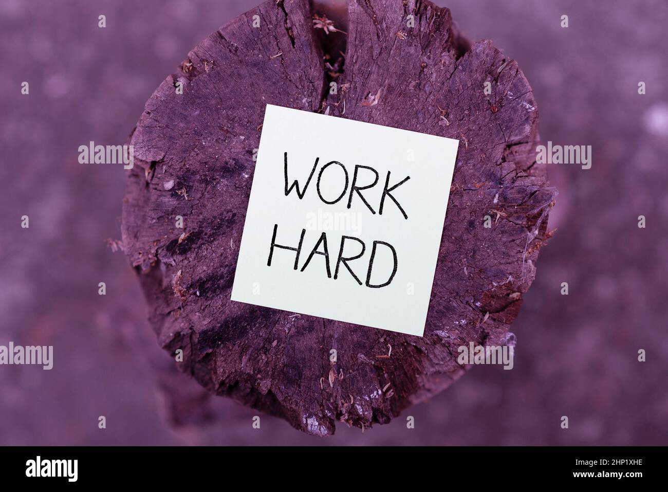 Handwriting text Work Hard, Business concept Laboring that puts effort ...