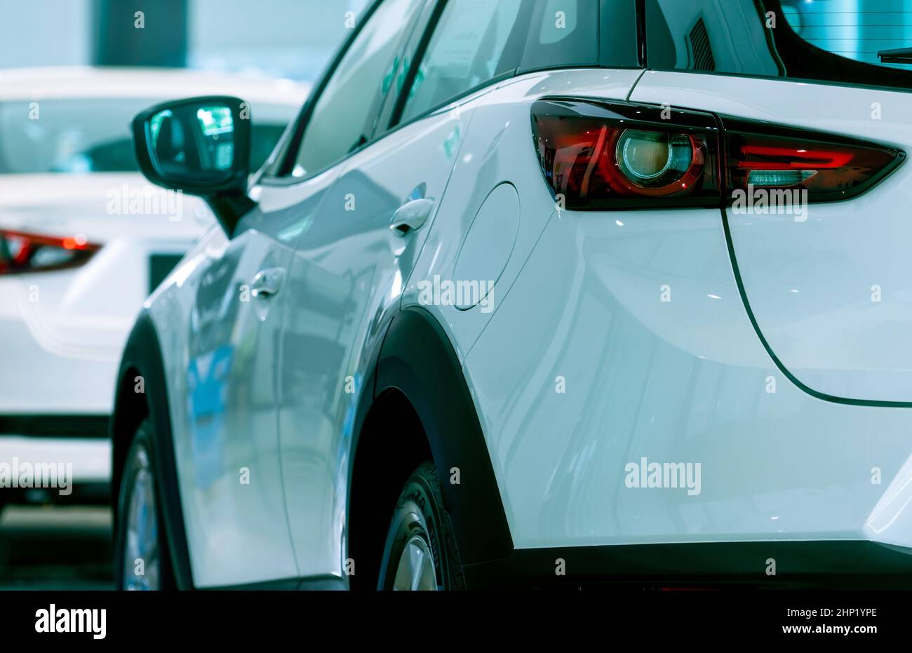 Rear view of white car parked in luxury showroom. Car dealership office ...