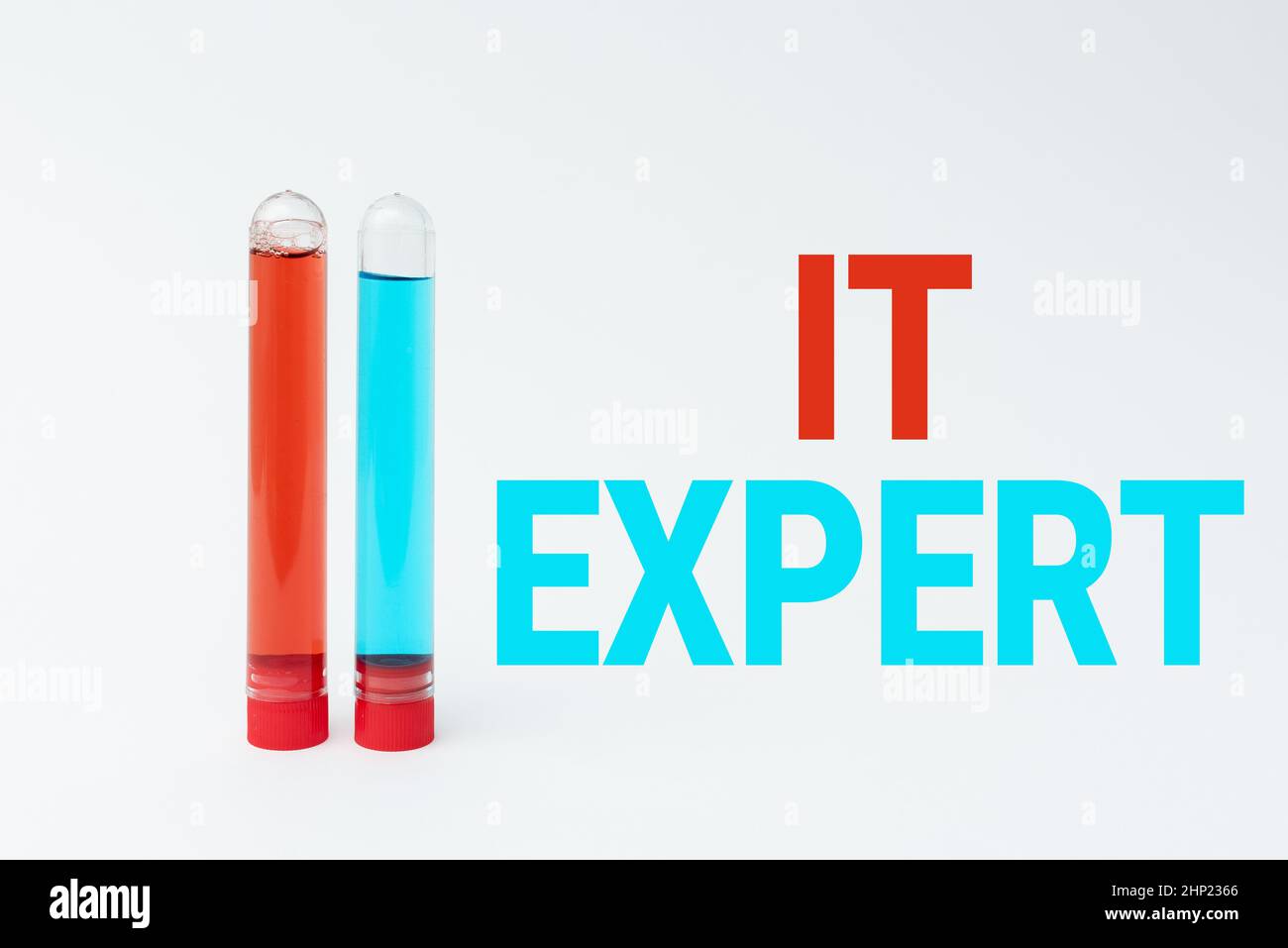 Inspiration showing sign It Expert, Internet Concept person with a high ...