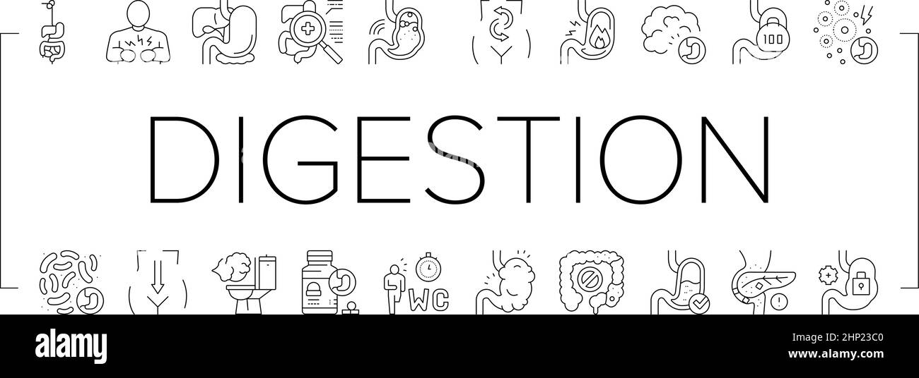 Digestion Disease And Treatment Icons Set Vector Stock Vector Image ...