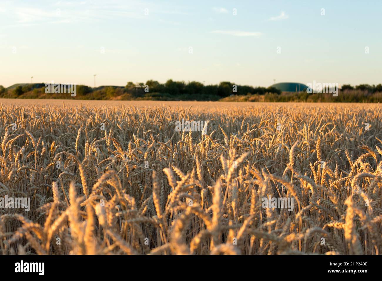 Agriculture definition hi-res stock photography and images - Alamy