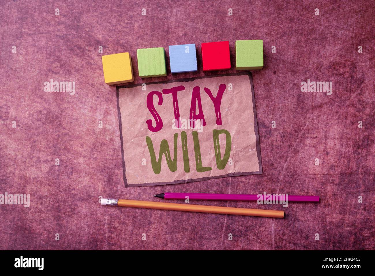 Sign displaying Stay Wild, Business concept keep being you and doing ...