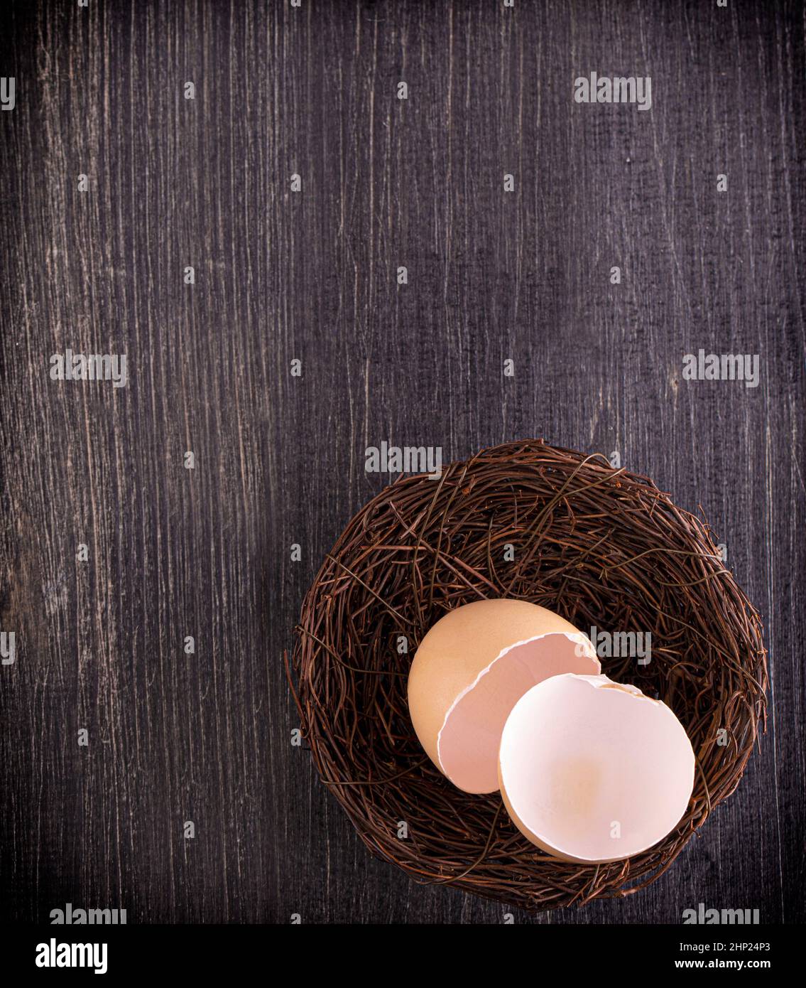 Empty bird nest egg shells hi-res stock photography and images - Alamy