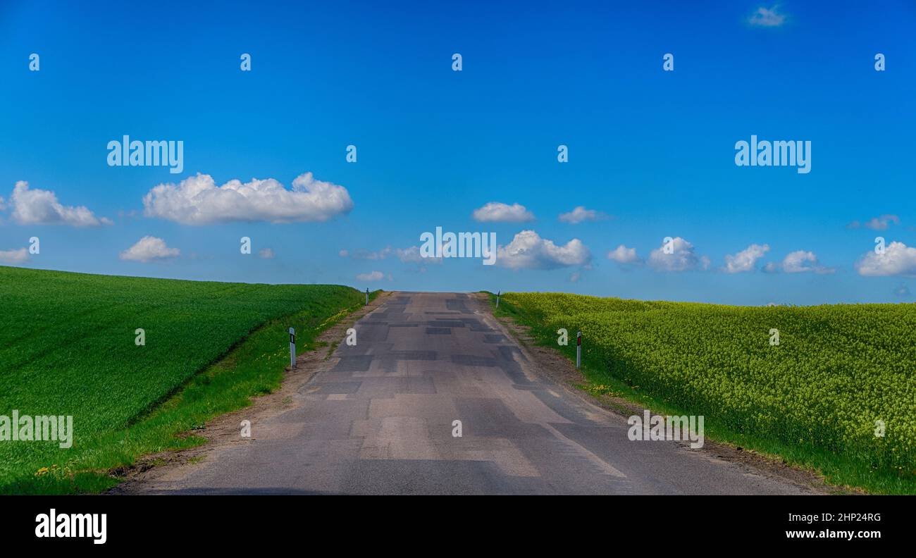 Old patched asphalt road leading through lush green fields in a ...