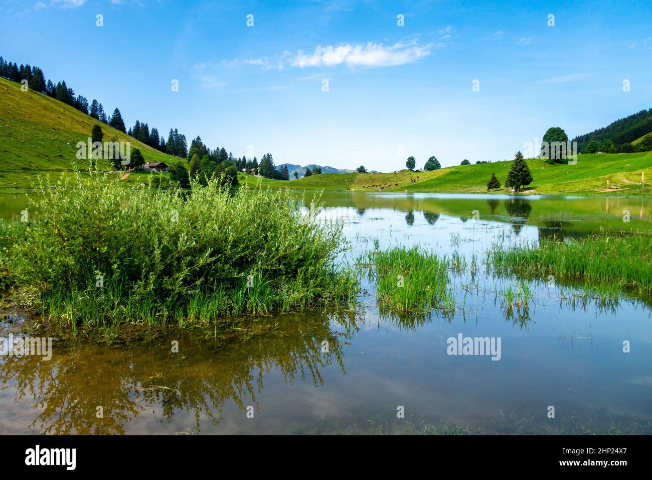 Confins lake hi-res stock photography and images - Alamy
