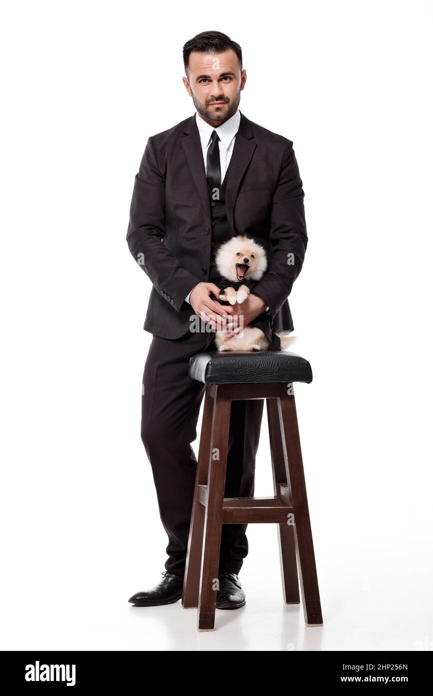 handsome man in black suit holds pomeranian dog. Spitz. people and pets ...