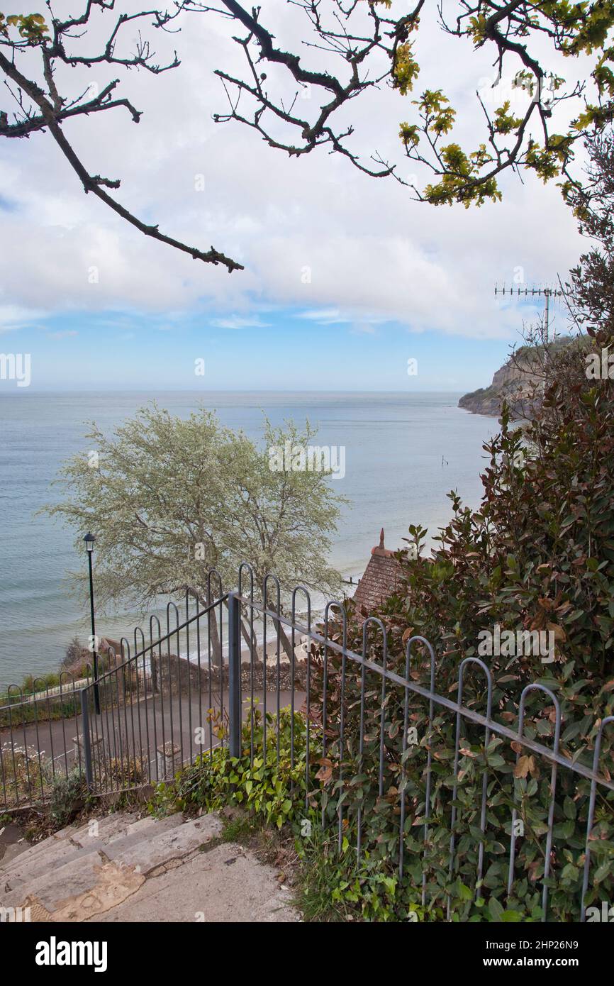 Sea view with trees and horizon Stock Photo - Alamy