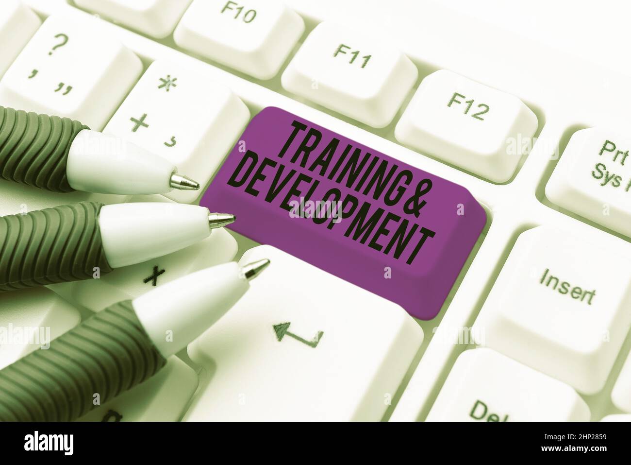 Conceptual caption Training And Development, Business approach Organize ... Conceptual caption Training And Development, Business approach Organize ...