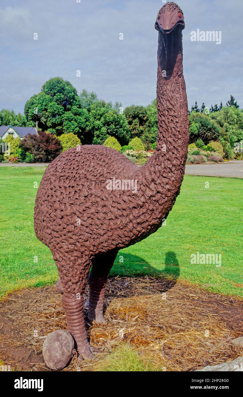 Moa and kiwi hi-res stock photography and images - Alamy