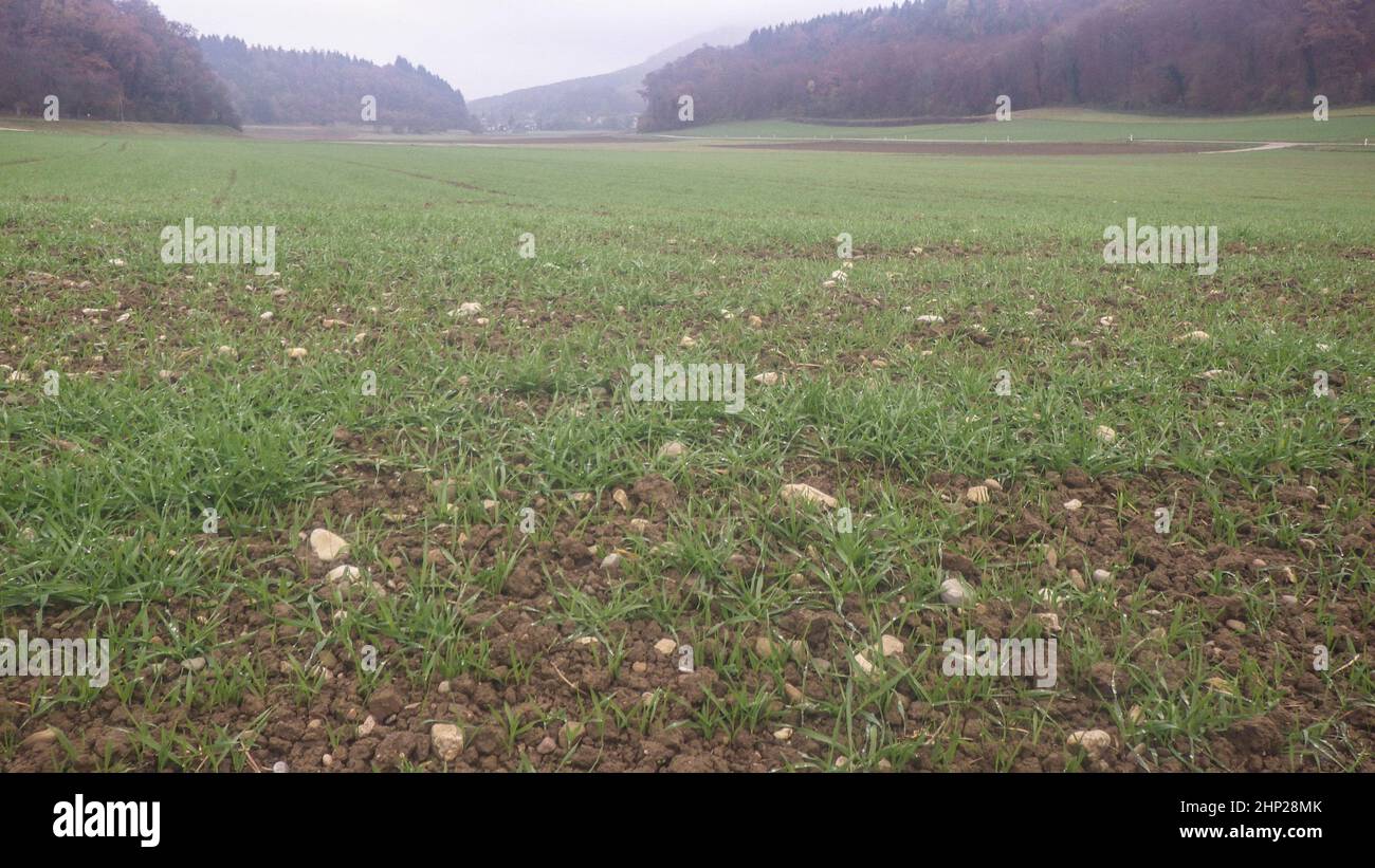 Usable arable land hi-res stock photography and images - Alamy