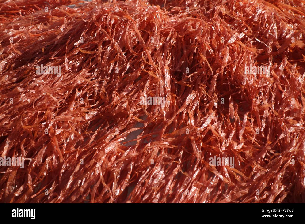 The courage of color hi-res stock photography and images - Alamy