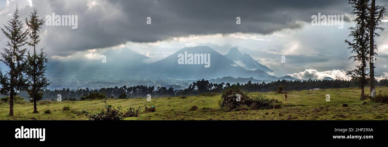 Volcanoes national park in Rwanda and DRC Stock Photo - Alamy