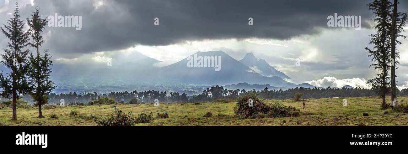 Volcanoes national park in Rwanda and DRC Stock Photo - Alamy