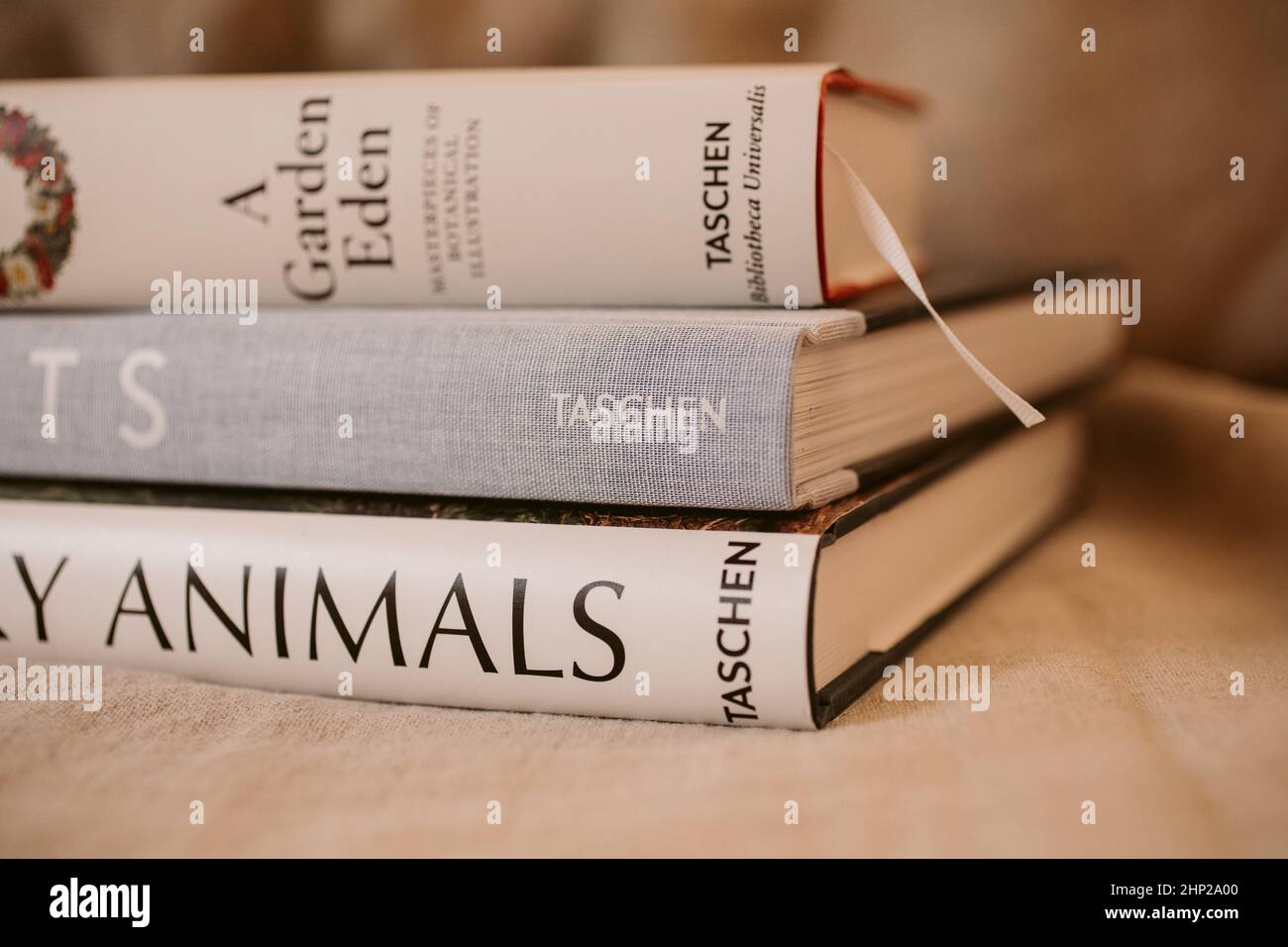 Collection of Taschen books on vintage background Stock Photo - Alamy